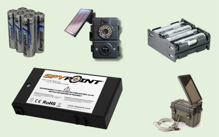 Best Batteries for Trail Camera in 2026 - Review & Complete Guide